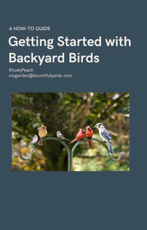 Getting Started With Backyard Birds - Ebook - Bountiful Yards